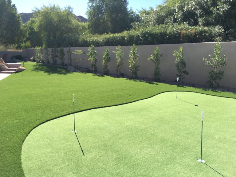 Gallery – Agave Landscape